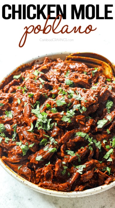 Mole Sauce with Chicken - Carlsbad Cravings