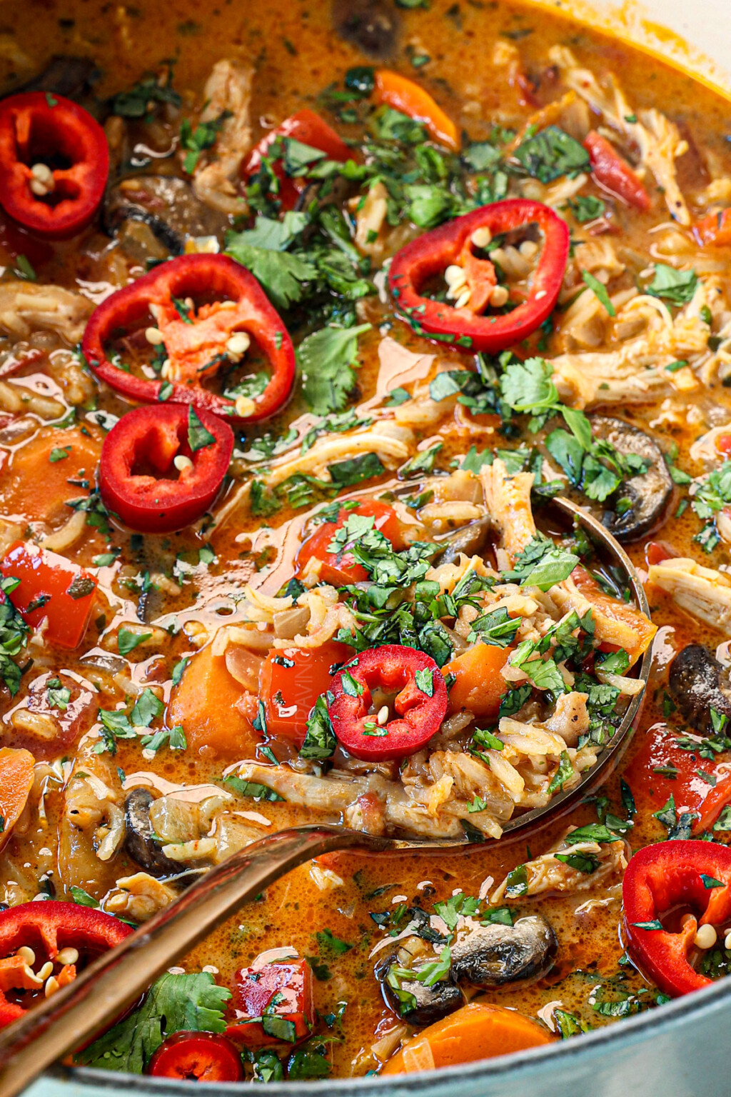 Thai Chicken Coconut Curry Soup