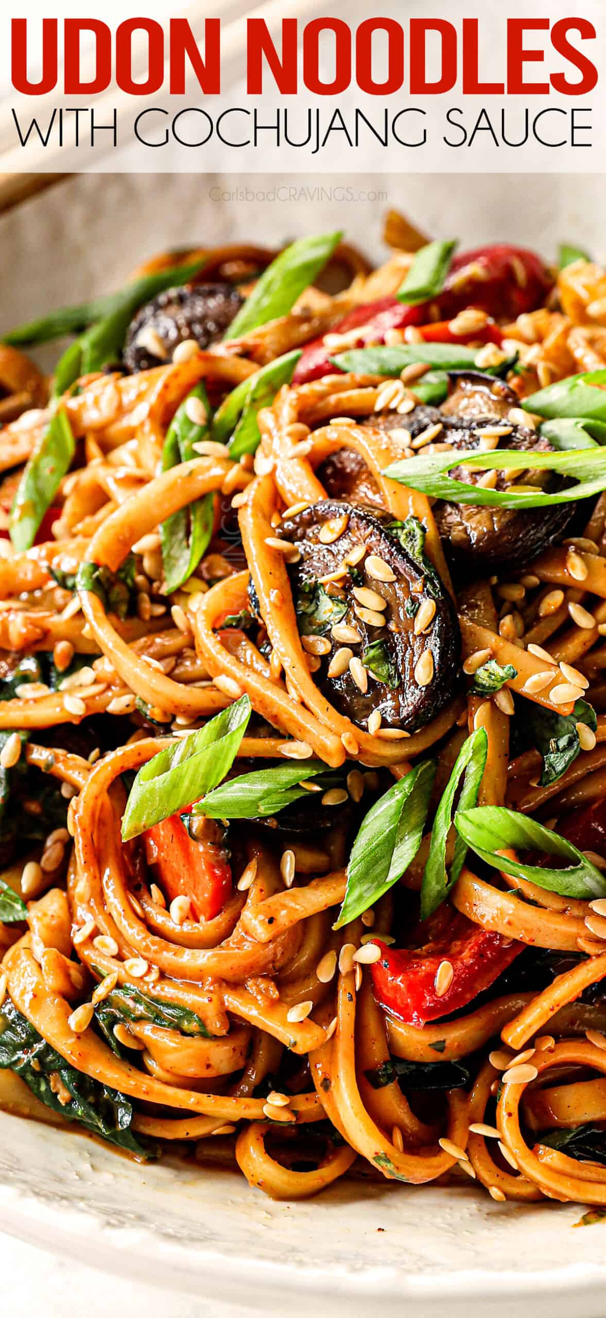 Easy Sauce For Udon Noodles Udon Noodles ATCYE
