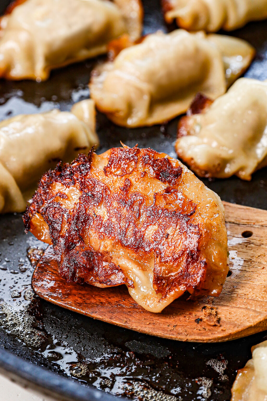 Goyza Dumplings - Carlsbad Cravings