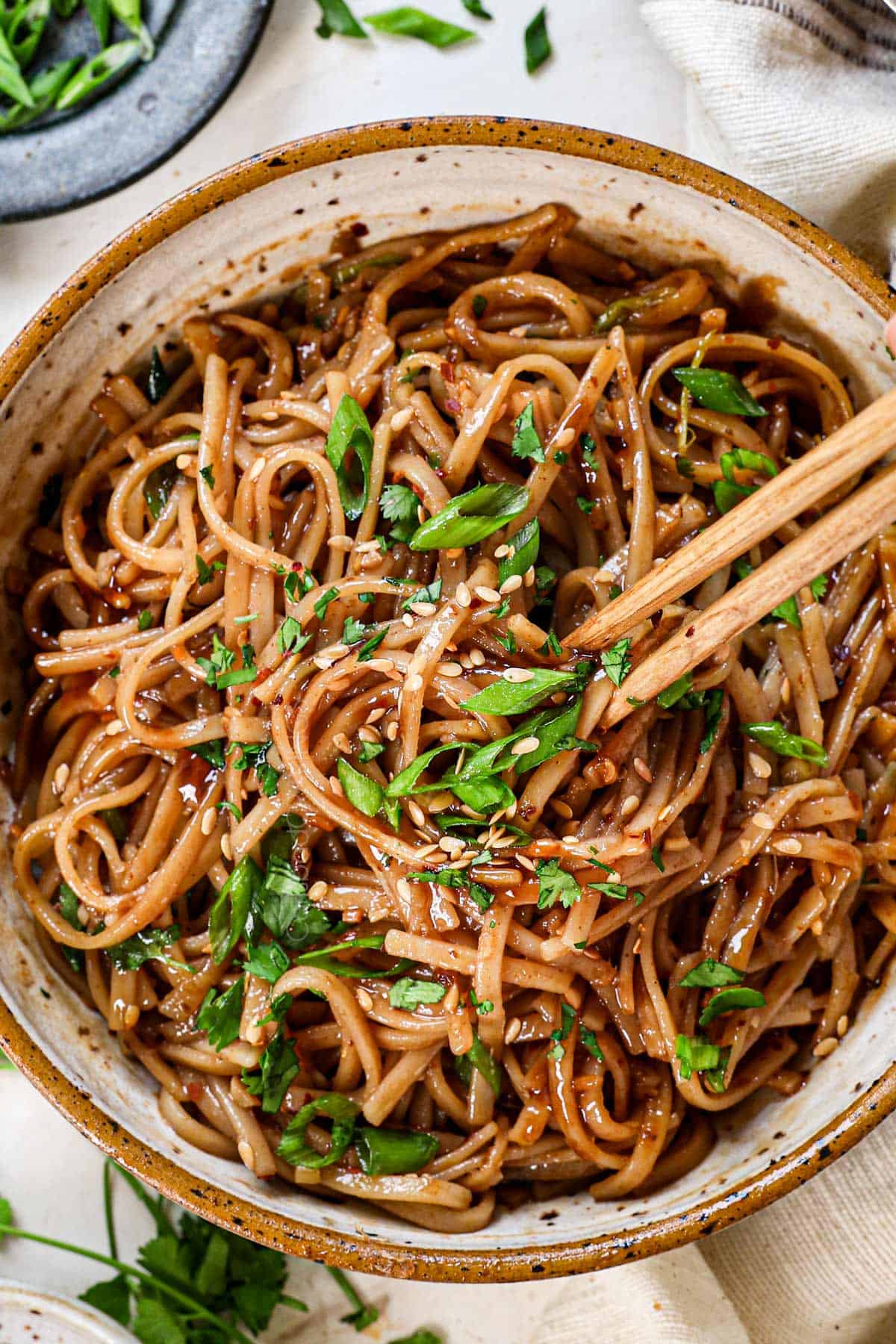 Spicy Noodles Recipe - Carlsbad Cravings