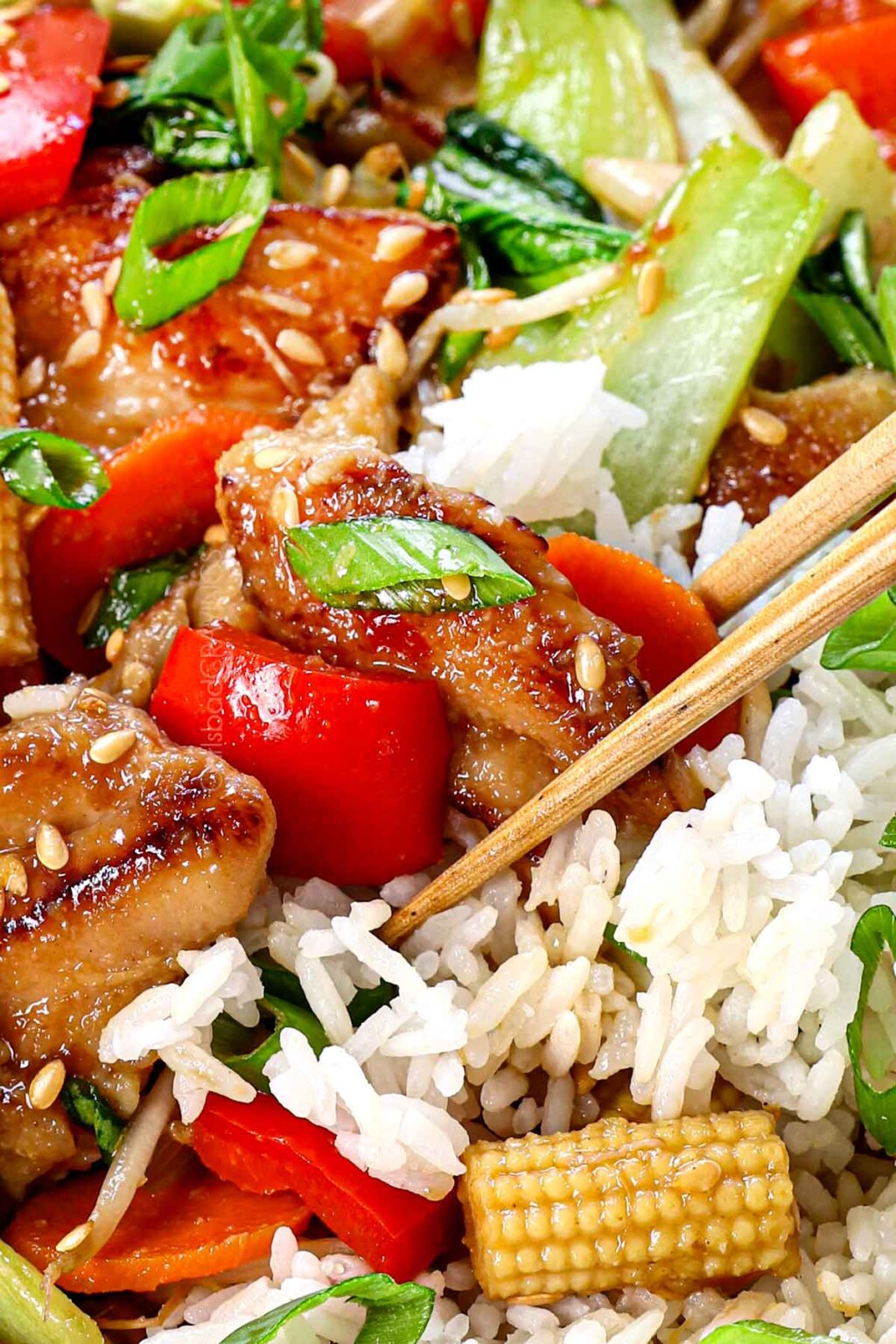 Best Chop Suey Recipe - Carlsbad Cravings